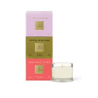 Glasshouse Candle Trio Gift Set 3x30g | The Mall